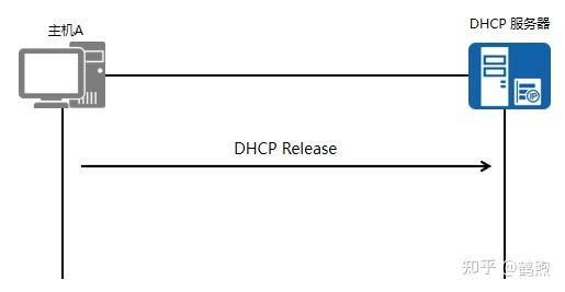 网络工程师必备知识点DHCP原理与配置 - 知乎