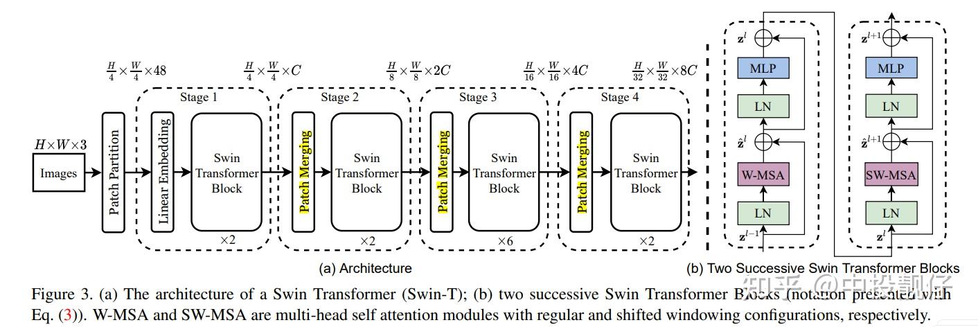 Paper Reading: Vision Transformer / Swin Transformer - 知乎