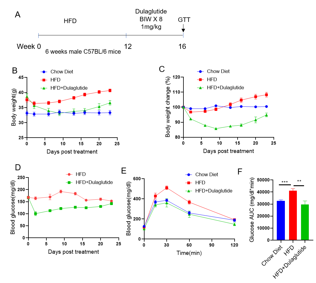 DIO模型--肩负全球减肥重担 - 知乎