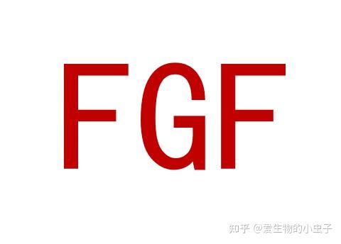 FGF——干细胞培养中的重要因子 - 知乎