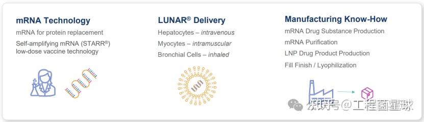 5分钟系列|了解mRNA公司——Arcturus Therapeutics - 知乎