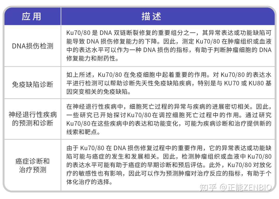 解密DNA修复中的关键力量：Ku70/80蛋白 - 知乎