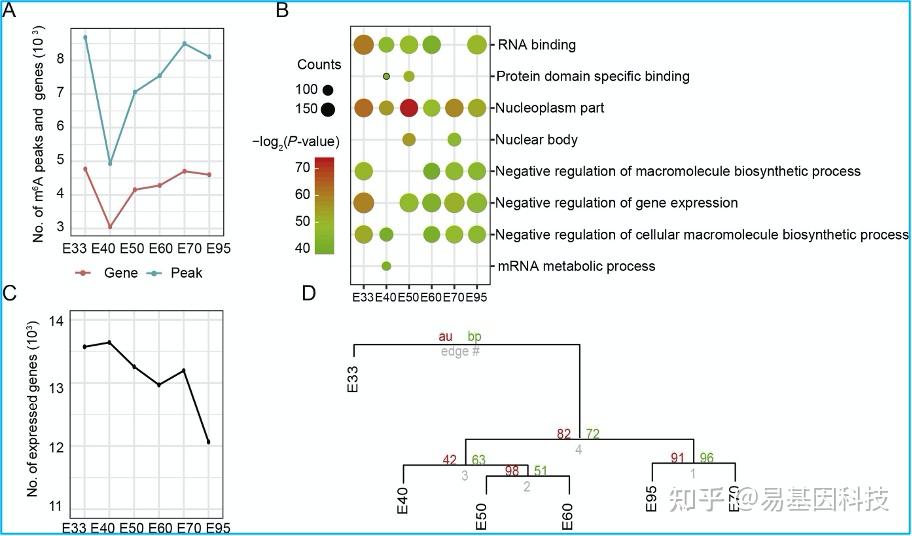 易基因｜RNA m6A甲基化测序(MeRIP-seq)技术介绍 - 知乎