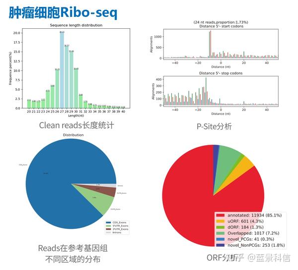 Ribo-seq：检测正在翻译的mRNA信息，连接转录组学与蛋白质组学的桥梁 - 知乎