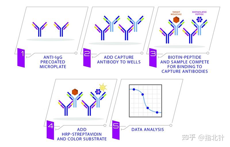 ELISA实验——原理、步骤、注意事项、示例图 - 知乎