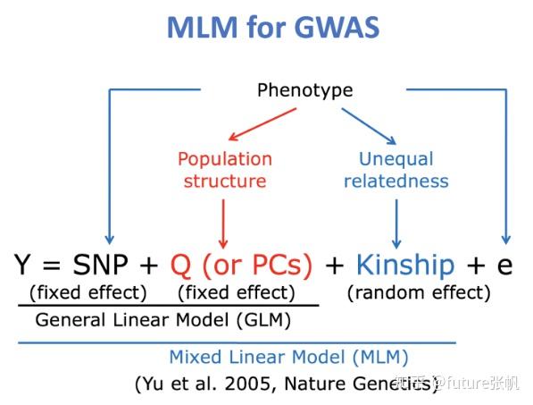 利用GAPIT进行gwas和gs分析（附带方法介绍） - 知乎
