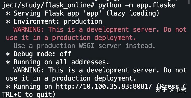 基于flask实现模型本地服务器部署 - 知乎