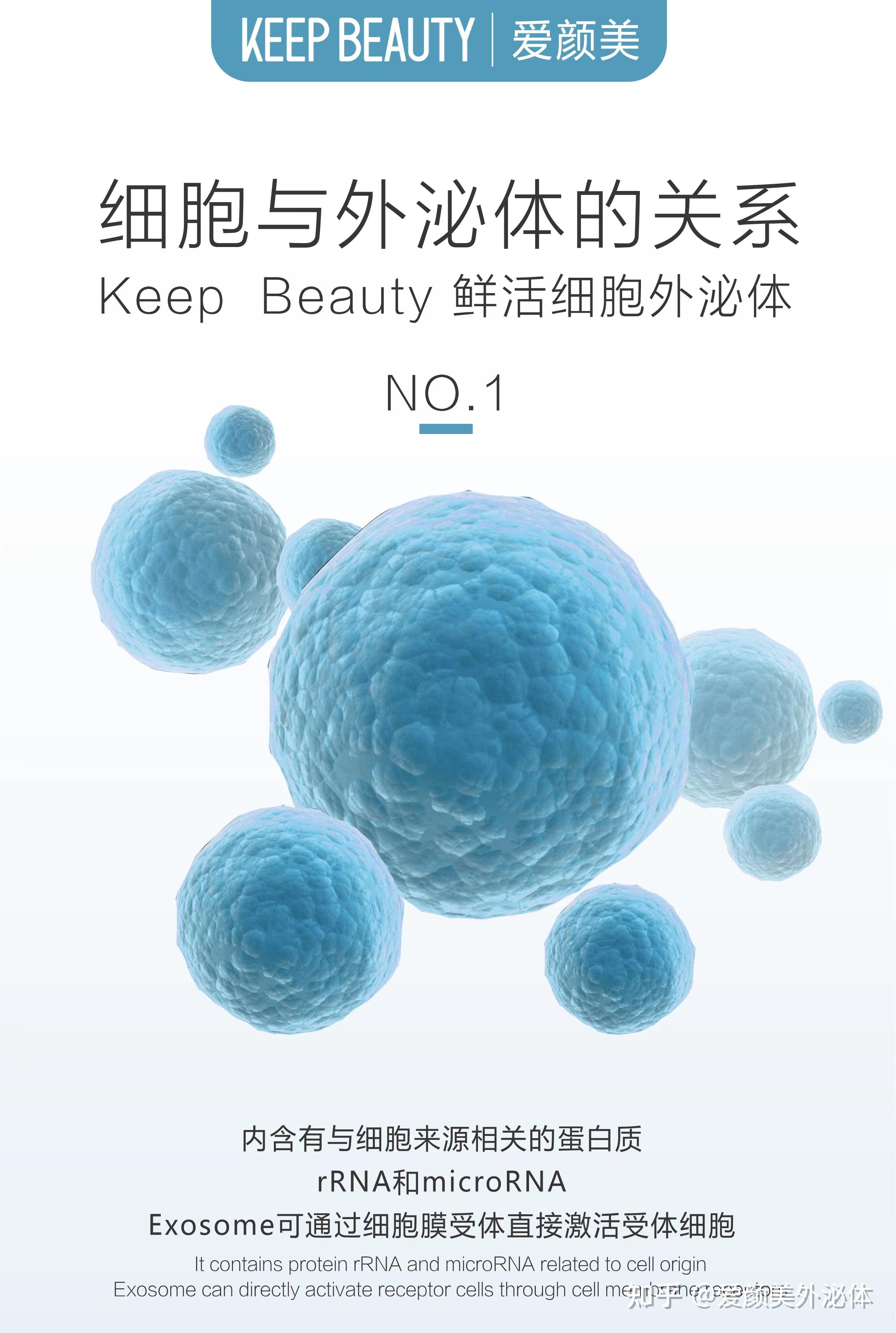 细胞与外泌体的关系，你知道吗？ - 知乎