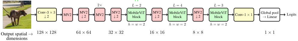 【MobileVIT】轻量级视觉Transformer+移动端部署（附MobileVIT_xxs代码剖析） - 知乎