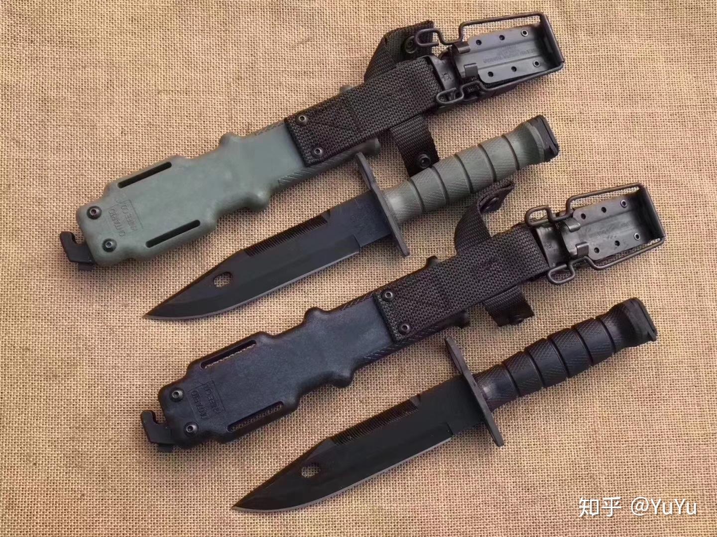 安大略M9 - 知乎