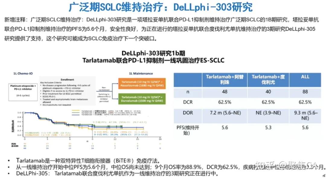 2025CSCO指南集锦 | 收藏！CSCO小细胞肺癌诊疗指南2025版更新要点 - 知乎