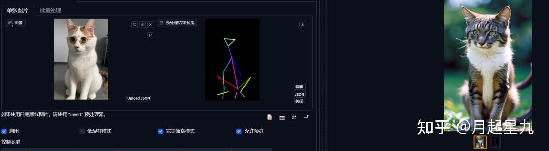 动物也能用骨架控制，animal openpose配置 - 知乎
