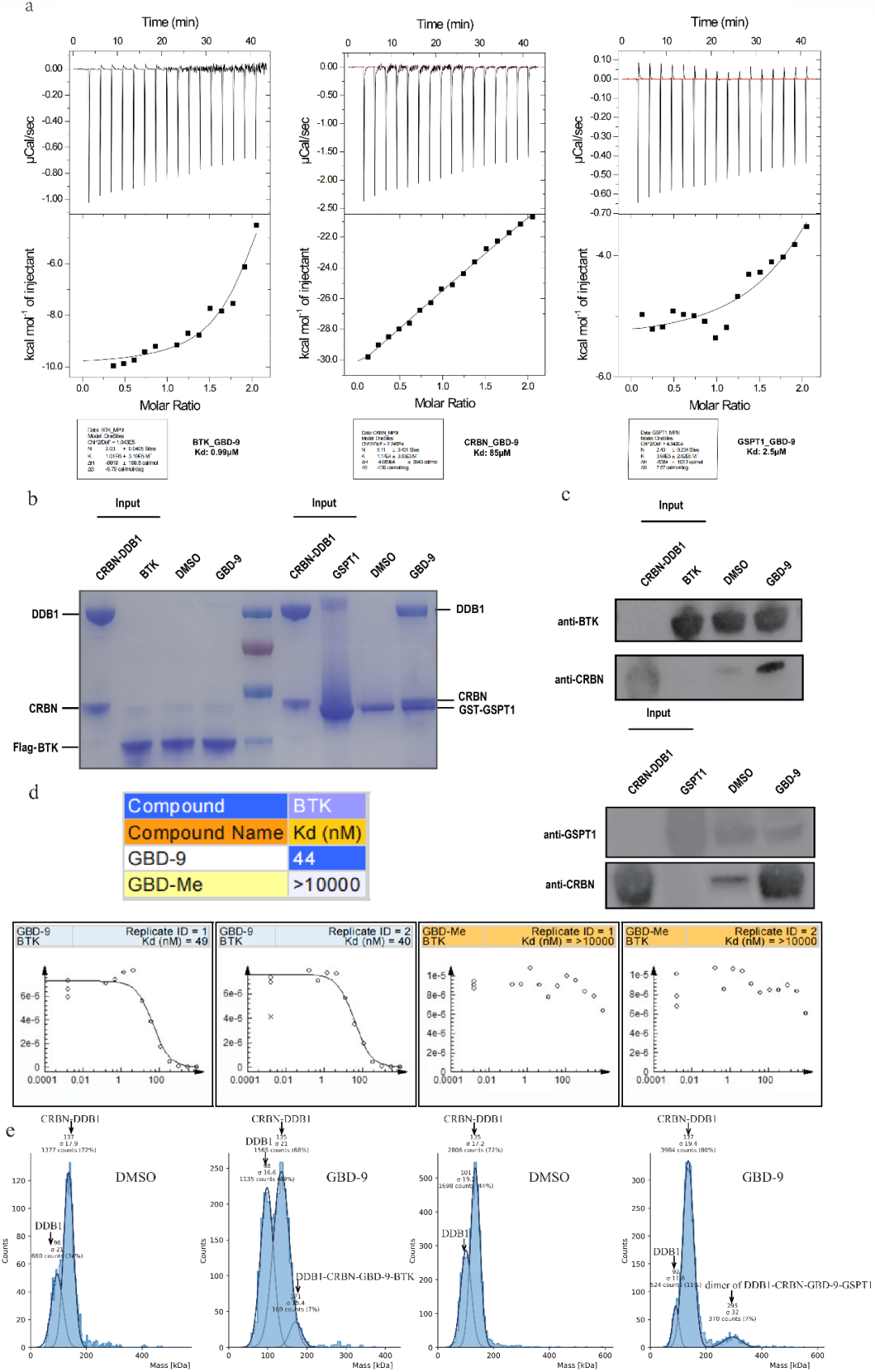 融合PROTAC和分子胶，同时降解BTK和GSPT1蛋白 - 知乎
