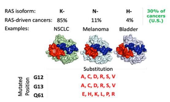 KRAS G12C药物专题总结！ - 知乎