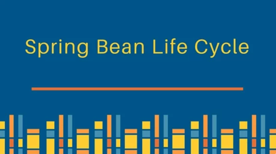 【269期】面试官必问：说说 Spring Bean 的实例化过程？ - 知乎