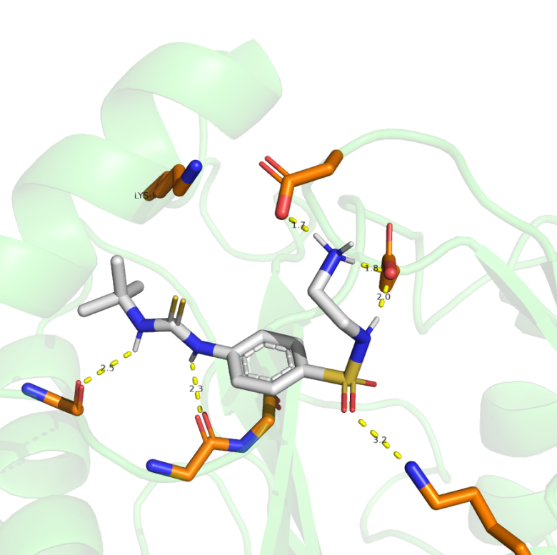 明星公司Arvinas放弃的PROTAC项目 - 知乎