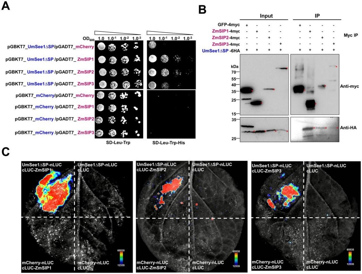 文献阅读-1：Exploiting effector-host interactions using TurboID-based ...