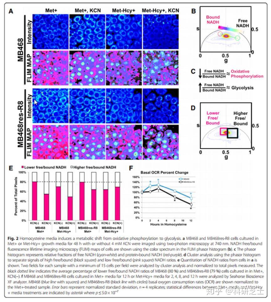 SCI写作专题第六期：Figure图 - 知乎
