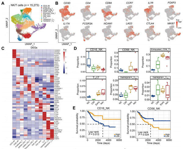 单细胞技术揭示宫颈鳞状细胞癌的发生发展 - 知乎