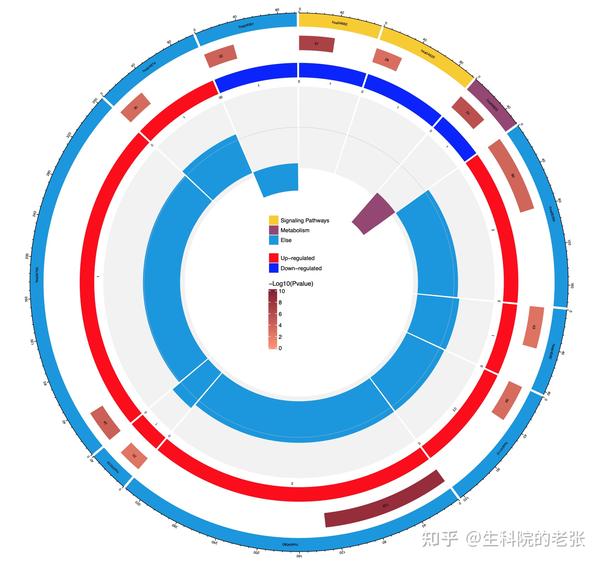 最全的GO, KEGG, GSEA分析教程(R),你要的高端可视化都在这啦！[包含富集圈图]【转载】 - 知乎