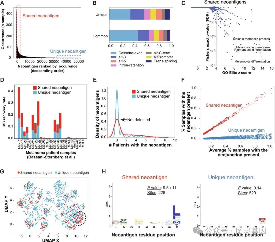 Sci Tra Med | SNAF识别用于免疫治疗的剪接新抗原靶点 - 知乎