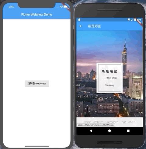 在 Flutter 中使用 WebView - 知乎