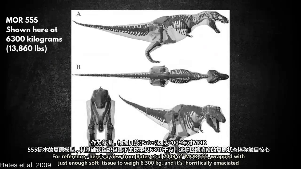 帝王霸王龙：史上最大兽脚类恐龙……还是巨型神话 - 知乎