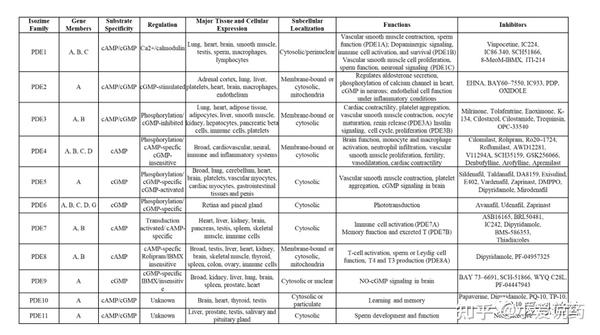 PDE(磷酸二酯酶) Panel_IBC - 知乎