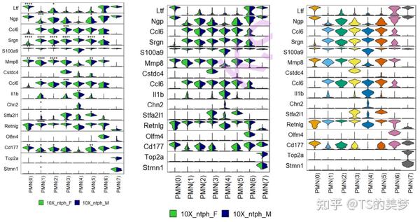 ggplot堆叠图无缝拼接(自写一个简洁堆叠小提琴图函数） - 知乎