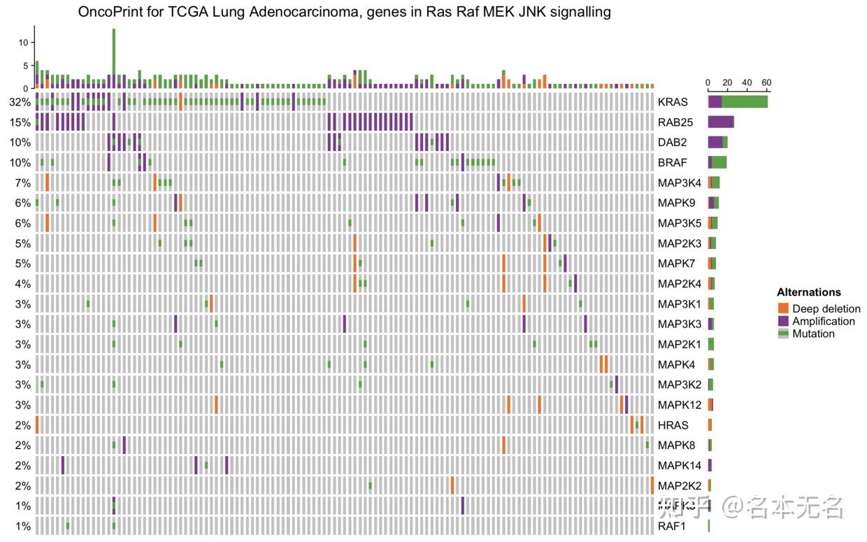 R 数据可视化 —— 聚类热图 ComplexHeatmap(五)oncoprint - 知乎