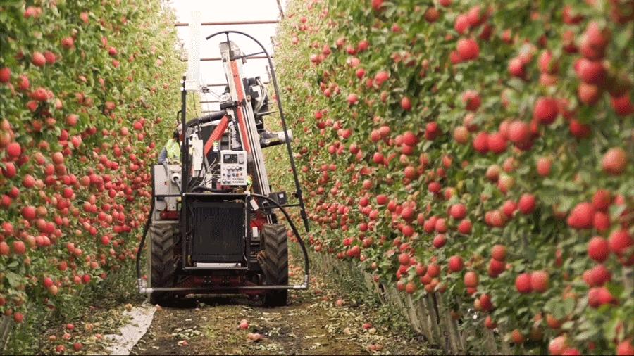 2050年，我们需要500万机器人摘水果 - 知乎