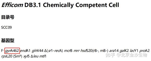小知识 | 如何选择合适的感受态细胞（一） - 知乎