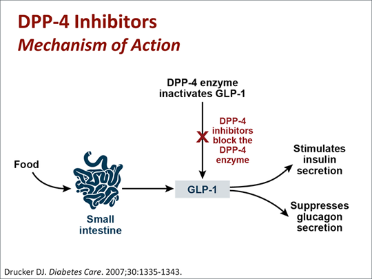DPP-4 抑制剂、及长效药物设计原理 - 知乎