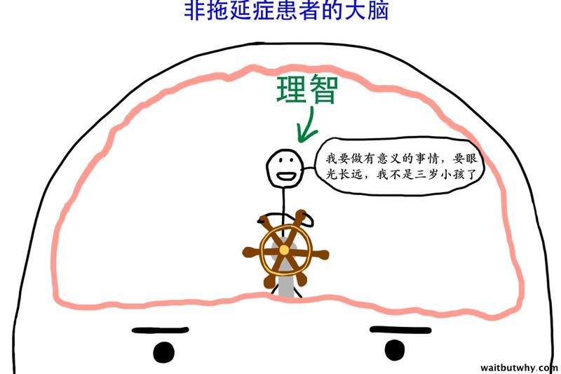 Why Procrastinators Procrastinate-wait but why - 知乎