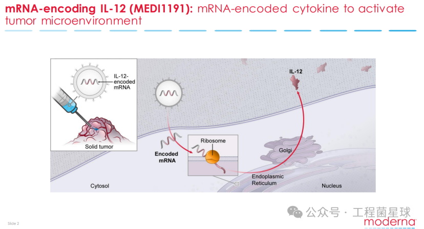 【耀文解读】Moderna（MEDI1191）:IL-12 mRNA-LNP蛋白替代疗法临床结果分析 - 知乎