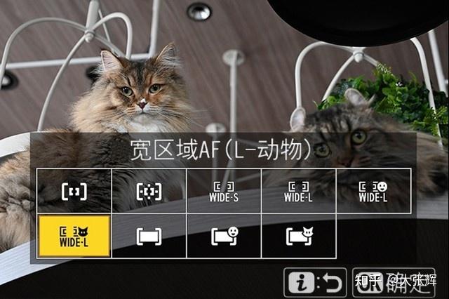 尼康z6ii？还是索尼A7M3/A7R3？