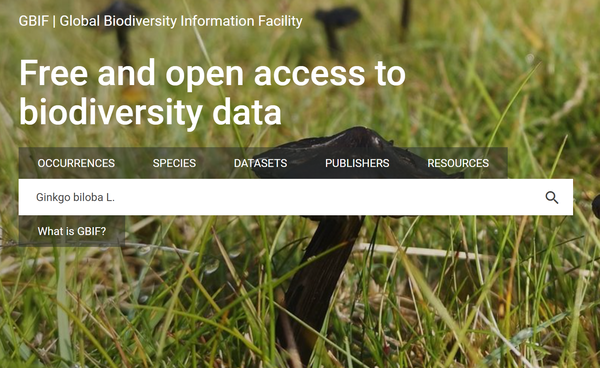 利用R快速下载和筛选GBIF物种分布数据： - 知乎