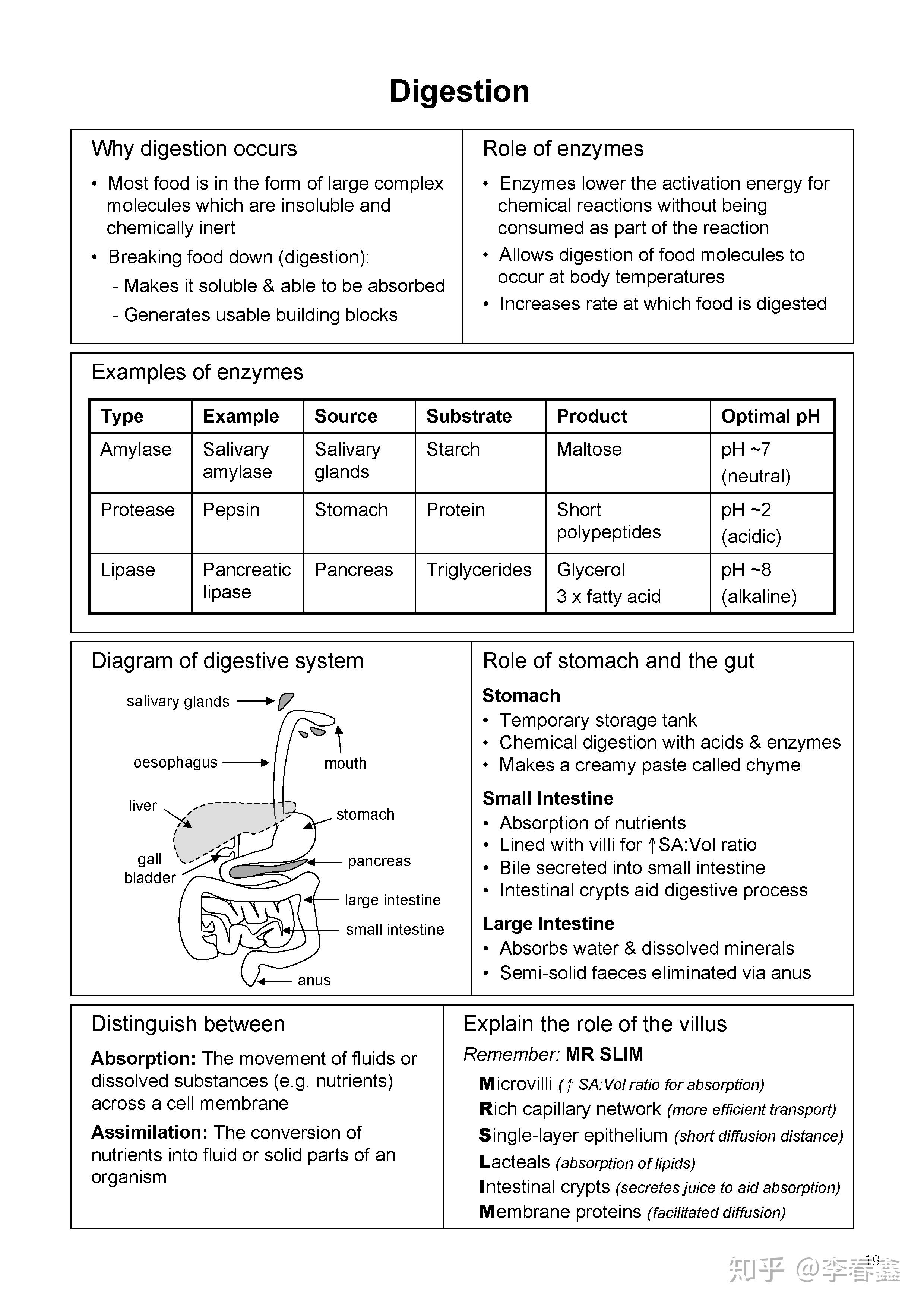 Dp Biology Quick Note For Revision Dp生物快速复习手册 知乎