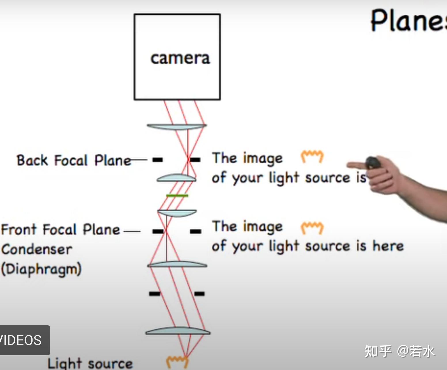 学习笔记ibiology.org | Microscopy Series（1-5） - 知乎