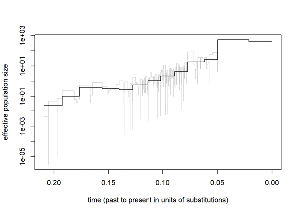 R包神器 | 系统发育和进化分析 - ape (一) - 知乎
