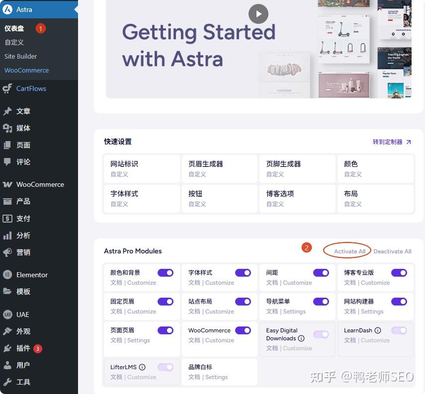 Astra教程：用Astra Pro主题搭建WordPress网站 - 知乎