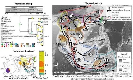 科研学习之Graphical Abstract——图文摘要制作 - 知乎
