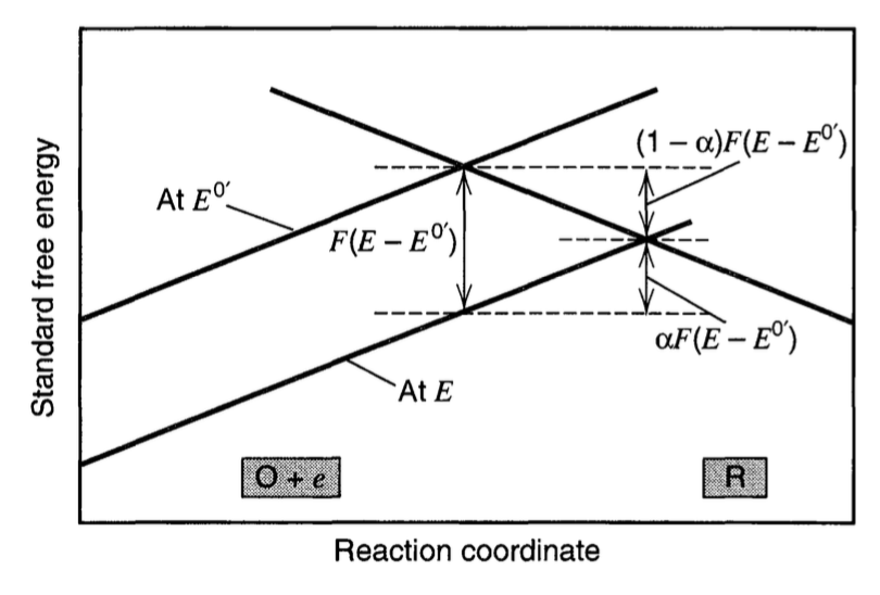 电化学动力学的核心：Butler–Volmer公式 - 知乎