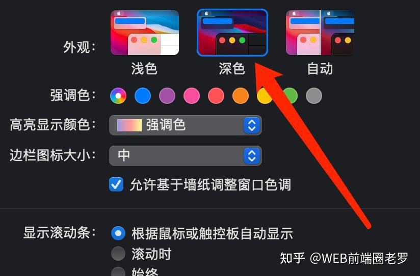 Vscode Mac window 