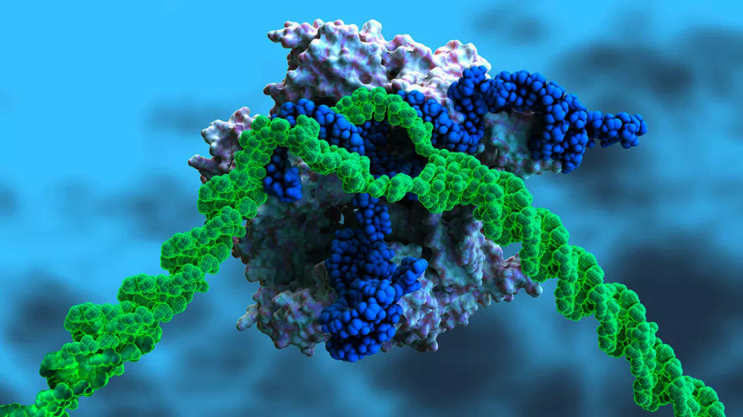 AlphaFold 2 对蛋白结构研究领域的冲击有多大，听听这五位专家怎么说 - 知乎
