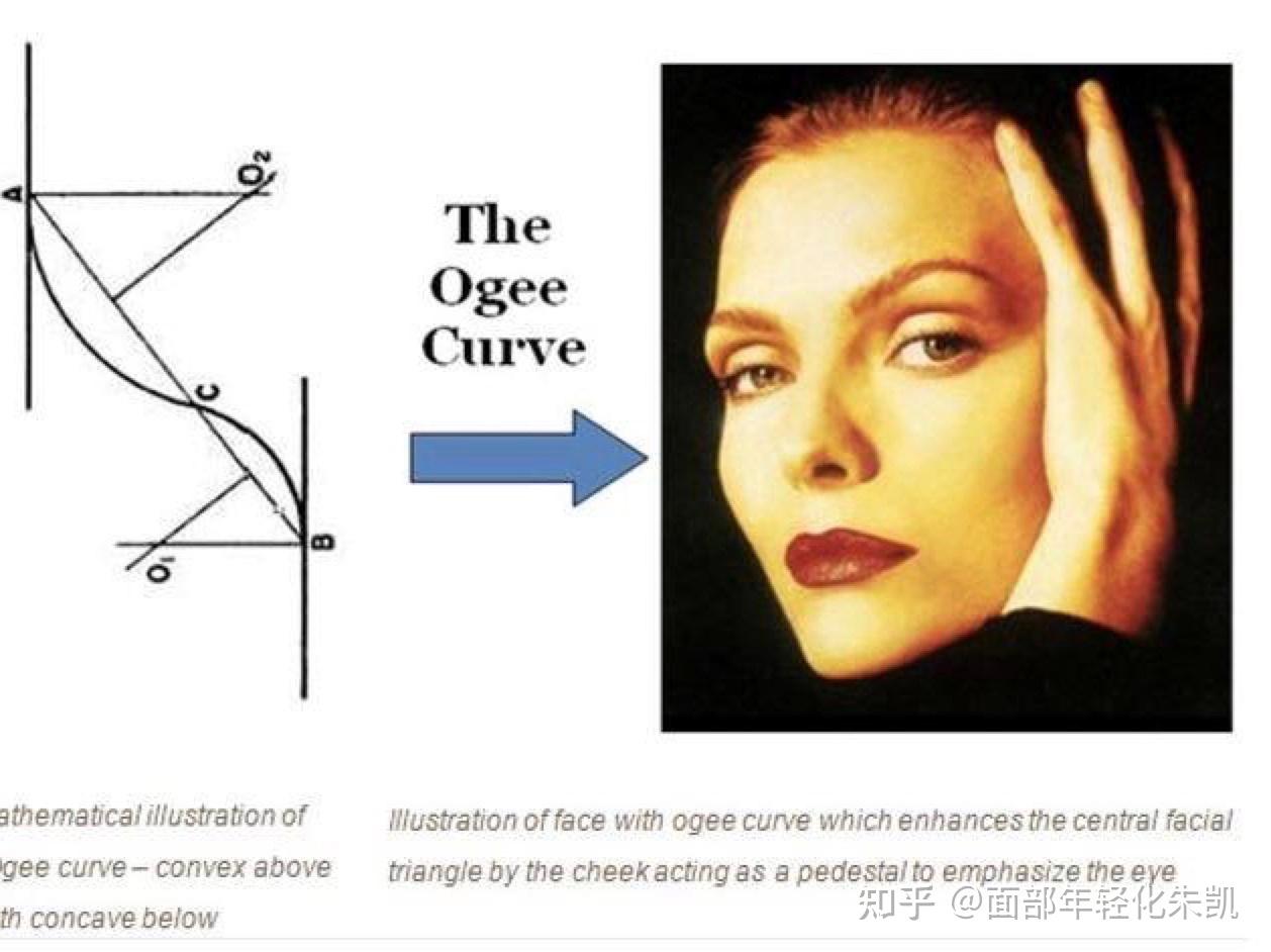 #ogeeline曲线# #面部衰老# - 知乎
