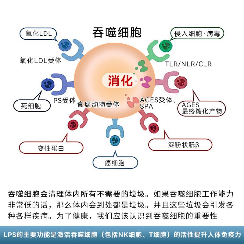 脂多糖LPS的作用机理 - 知乎