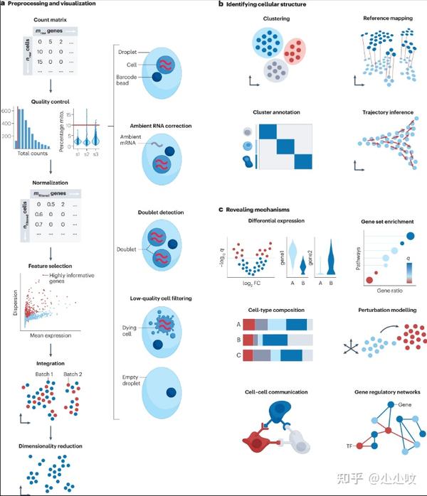 热点综述 | 跨模态单细胞分析的最佳实践 - 知乎