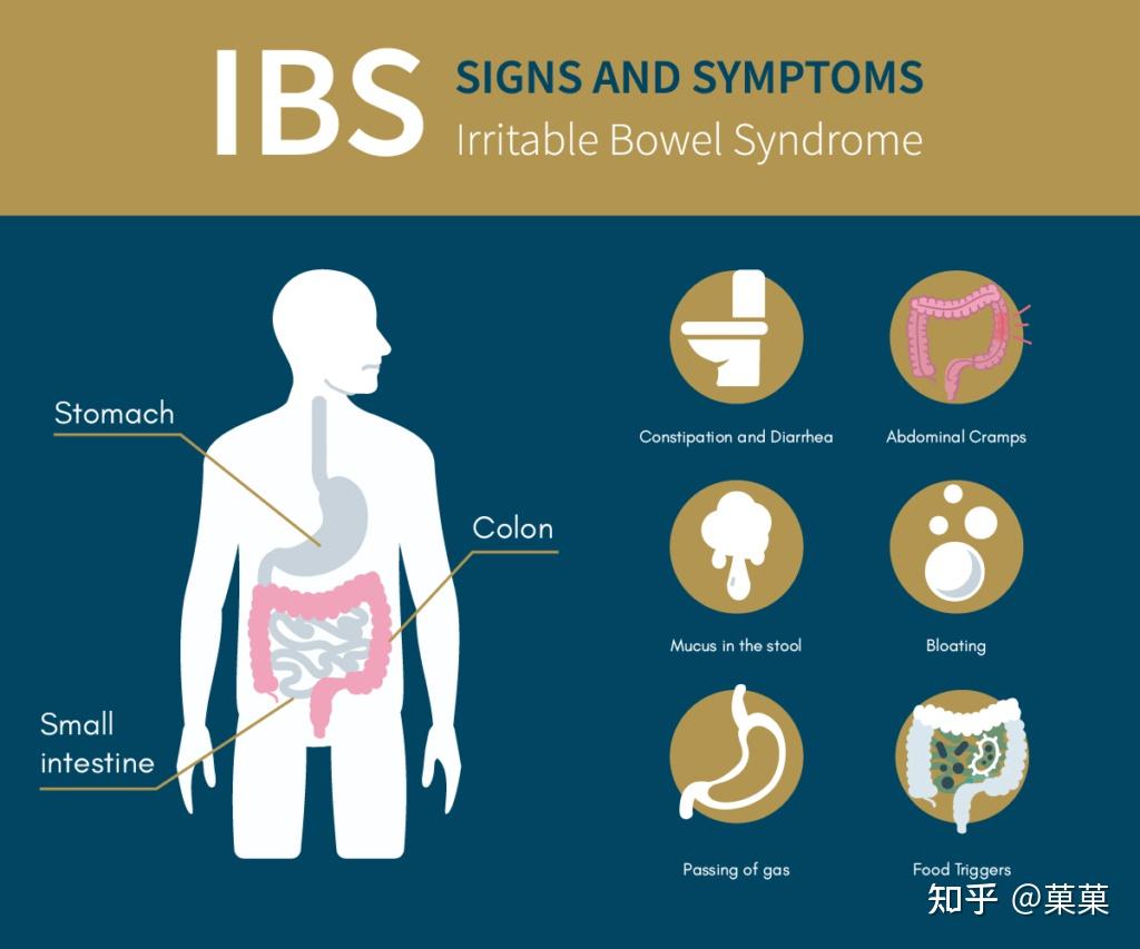  IBS 