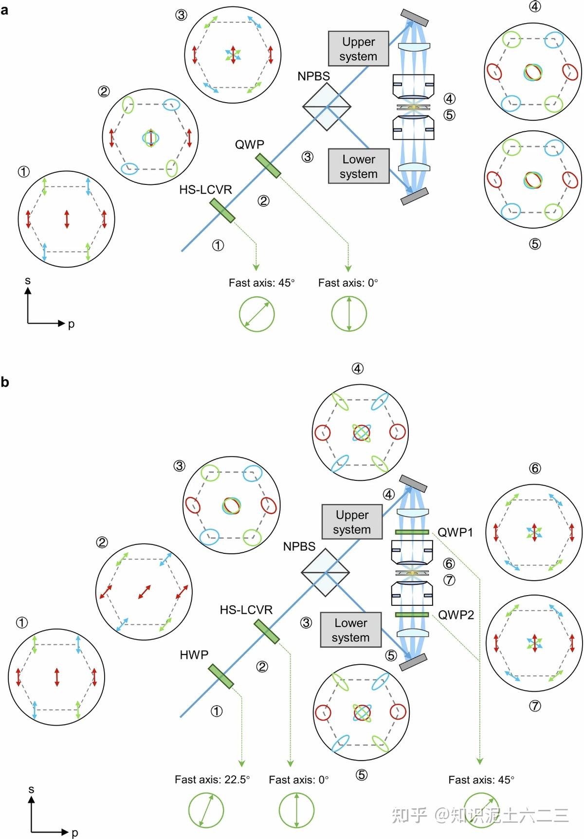 细胞成像的超级“放大镜”——4Pi-SIM - 知乎